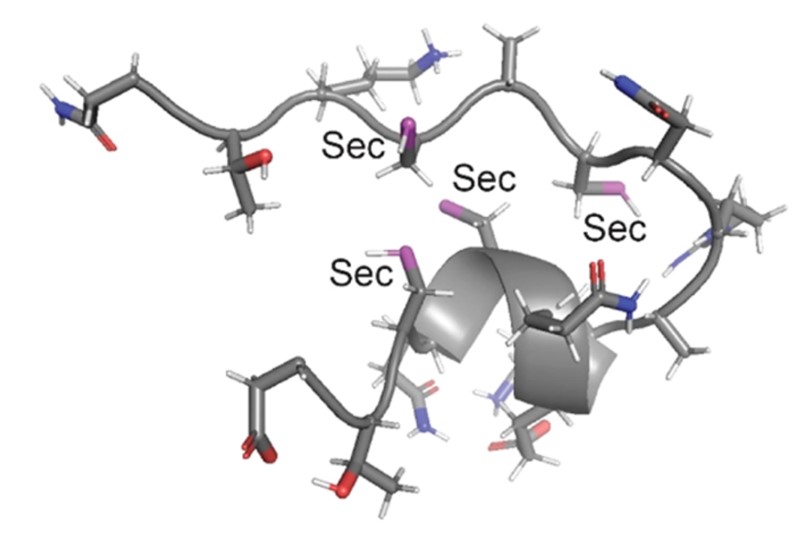 Trovanje živom: selenij je rješenje - Znanost @ Bug.hr